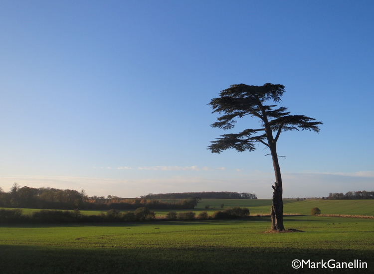 Buntingford plains - Our Travels
